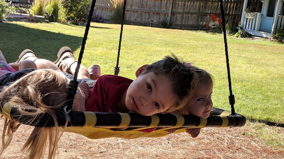 Swinging from a ponderosa: On internal senses and existential root balls - Trevor Sides